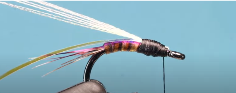 Step by Step Guide: Fly Tying for Beginners JuJu Baetis Nymph — Fly Life Media